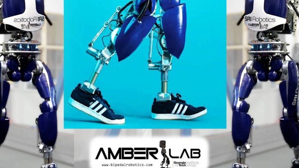 نگاهی به آینده ، آزمایشگاه رباتیک AMBER Walking Robotics